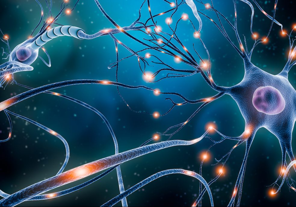 Borum Lab – Borum PKT – UF/IFAS